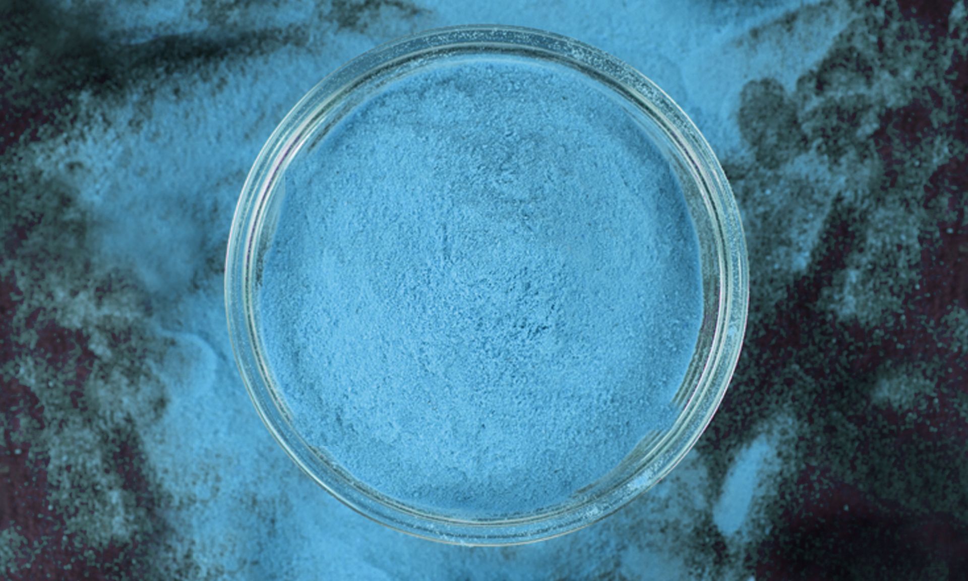 Poudres aromatisées pour Bubble Tea | BubbleManiac